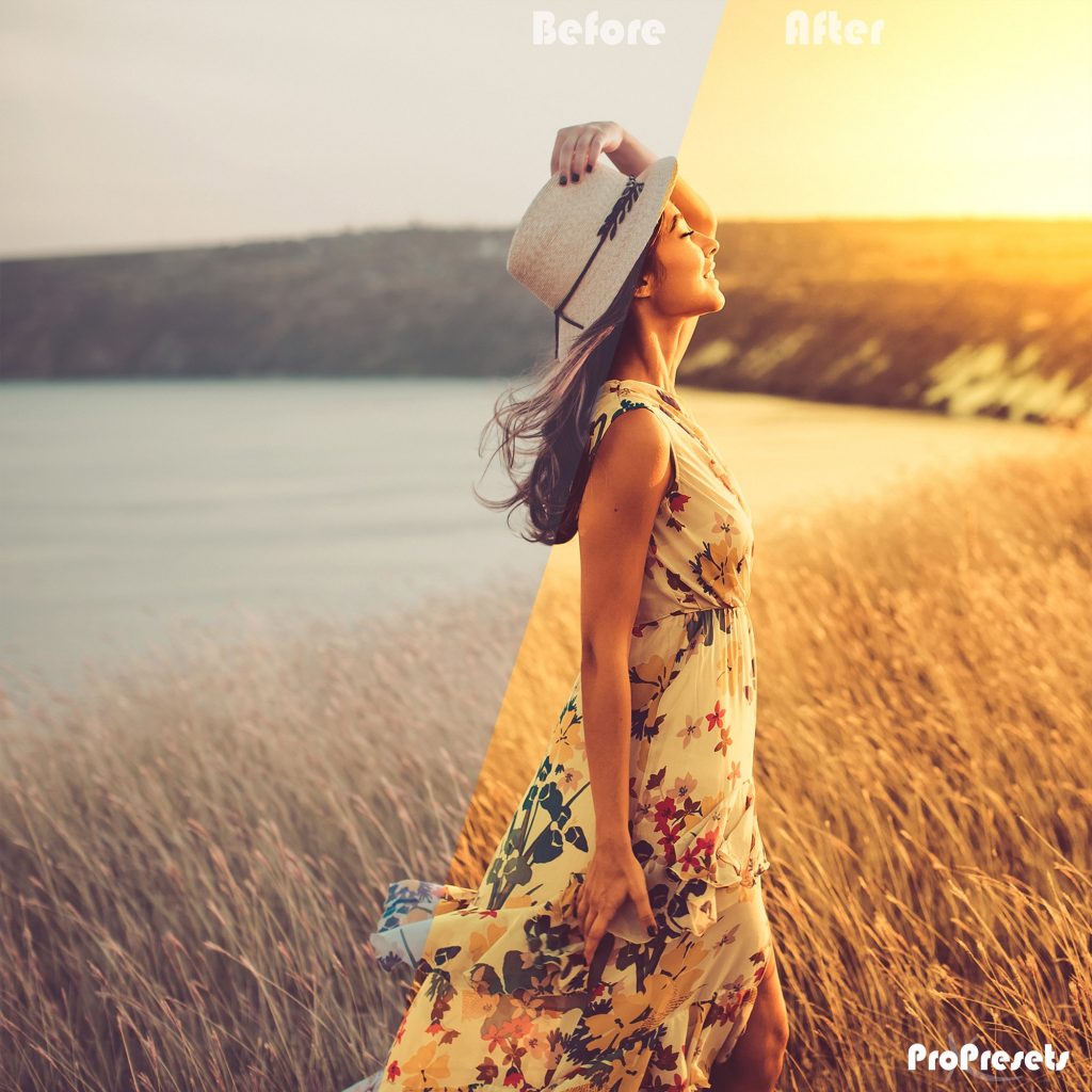 ProPresets X: Massive Presets Collection For Lightroom