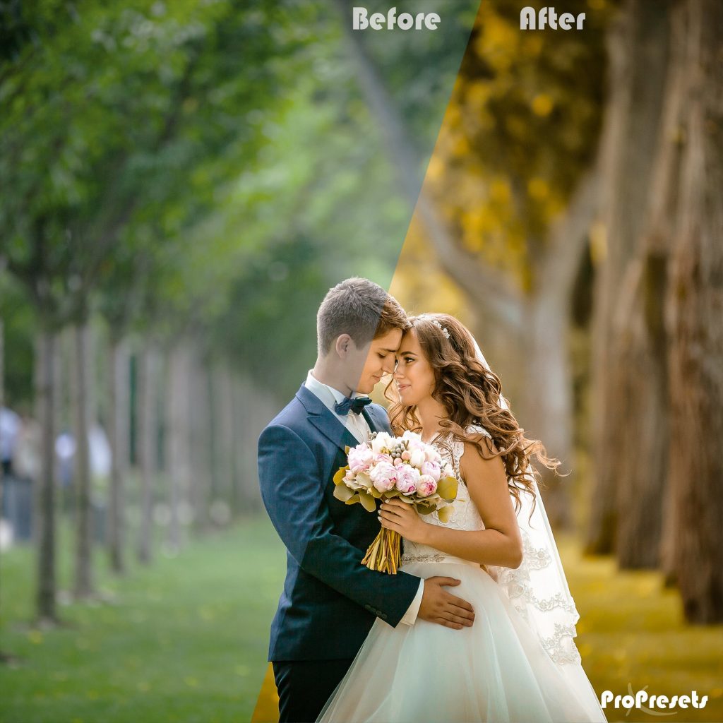 ProPresets X: Massive Presets Collection For Lightroom