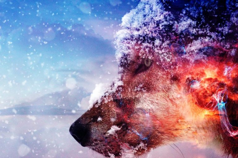 4000+ Definitive Transparent Overlays [High-Res PNG Files]