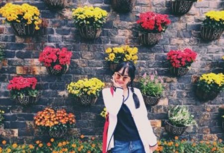 650 Drag & Drop Nature Backgrounds Bundle | Try Now