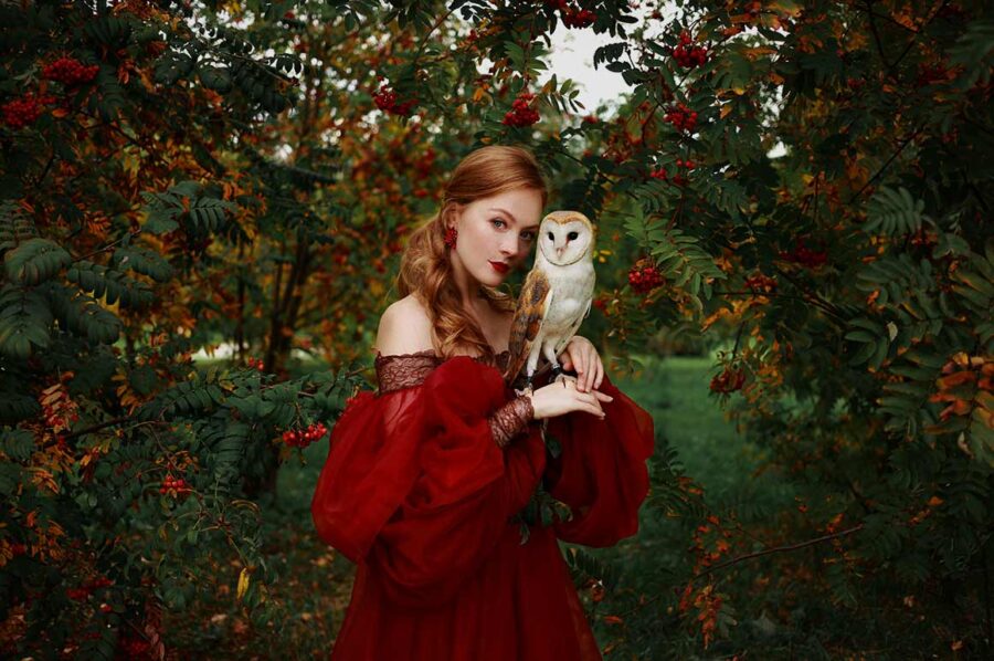 Magical Overlays | 500+ High Quality Overlays Bundle