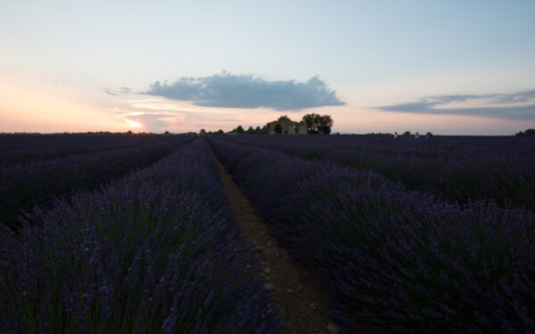 Photo Editing Bundle | Editing Tutorials & Tools [5-in-1 Pack]