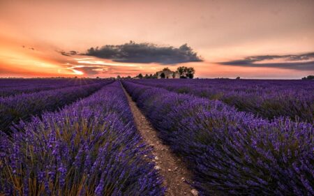 Photo Editing Bundle | Editing Tutorials & Tools [5-in-1 Pack]