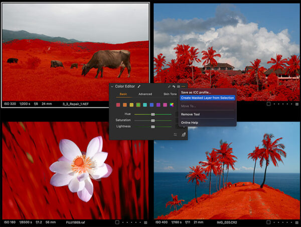 Learn Capture One Secrets | Master Editing