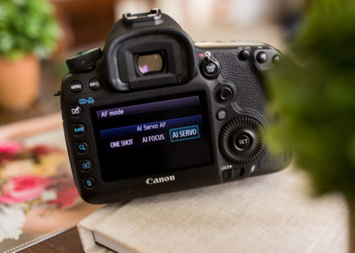 AI Focus vs. AI Servo: Which Autofocus Mode is Best?