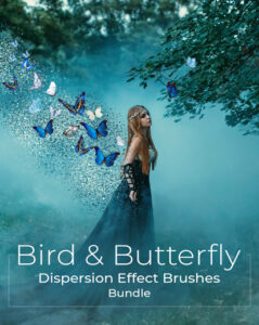 Dispersion Effect Brushes | Birds And Butterfly Dispersion Effect