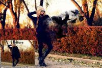 Dispersion Effect Brushes | Birds And Butterfly Dispersion Effect