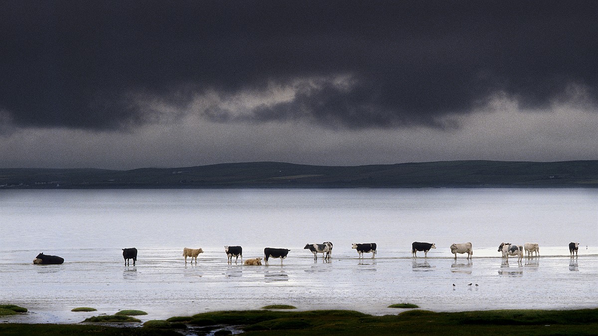 12 Landscape Photographers Who Shaped Nature Photography