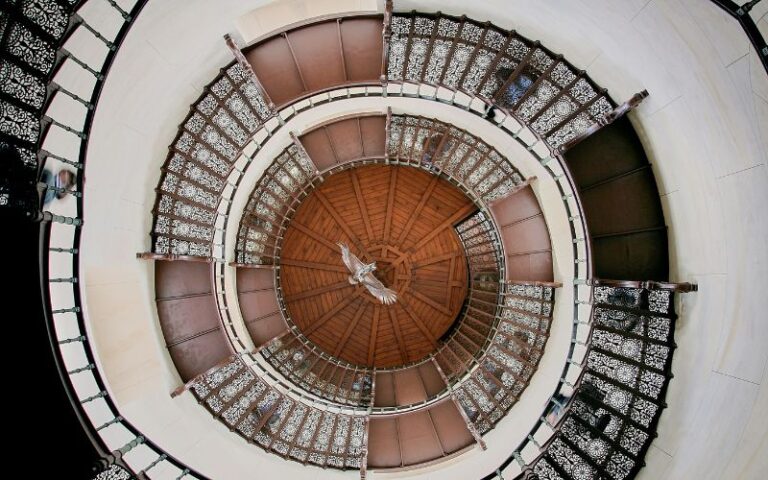 Form Photography: 10 Helpful Tips To Be Good In This Genre