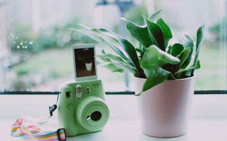 12 Polaroid Photo Ideas You Should Try (Perfect For Any Occasion)