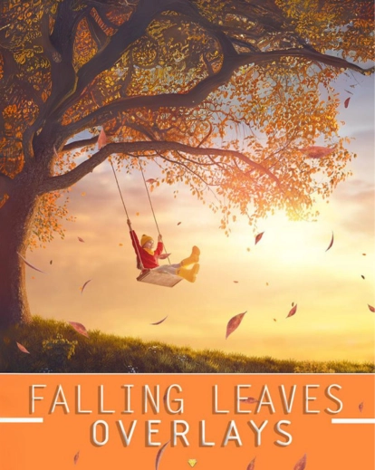Falling Leaves Overlays | Pack Of 48 Fantastic Overlays