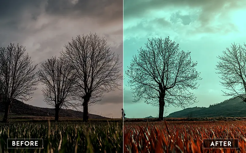 Photoshop Landscape Actions | Bundle Of 25 Professional Actions