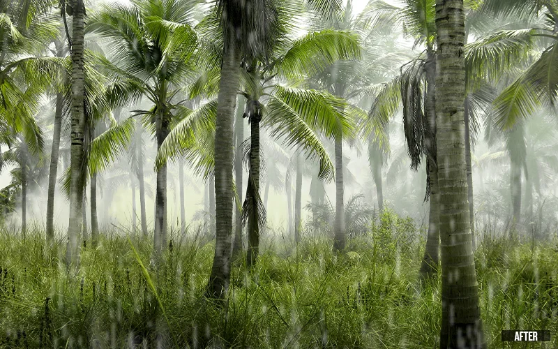 Rain Overlays Pack | Bundle Of 21 Overlays For Alluring Images