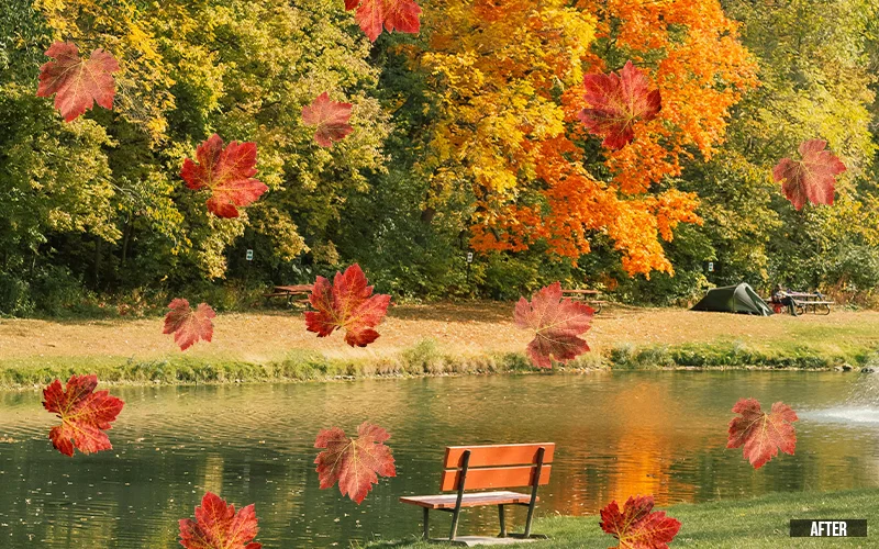 SINGLE LEAF ♢ OVERLAYS