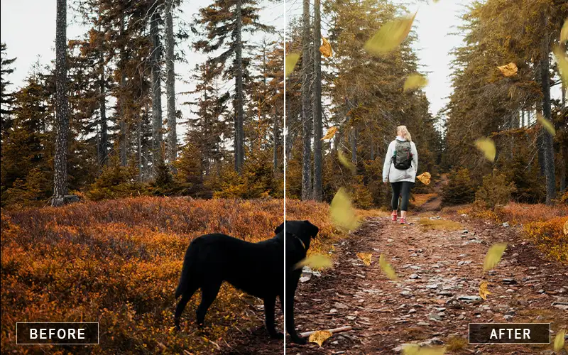 Leaf Overlays For Photoshop | Pack Of 20+ Overlays