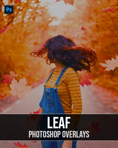 Leaf Overlays For Photoshop | Pack Of 20+ Overlays