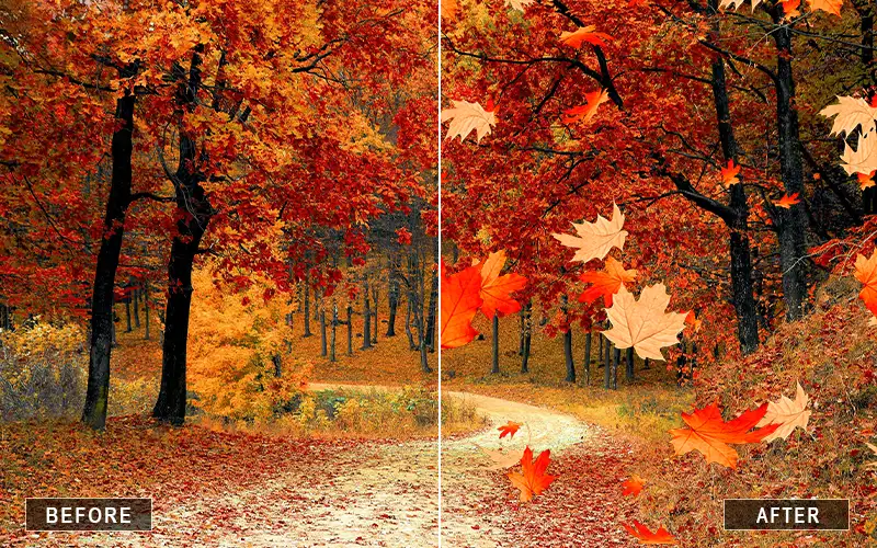 Leaf Overlays For Photoshop | Pack Of 20+ Overlays