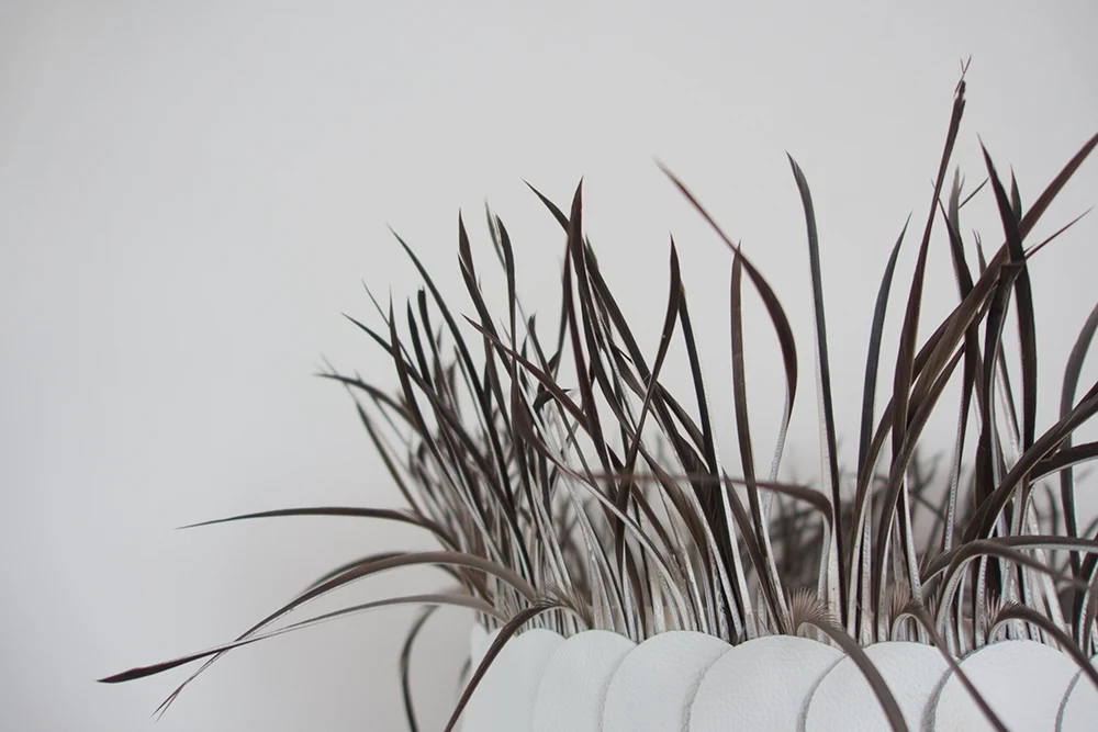 Minimalist Photography Tutorial PDF | Download Now