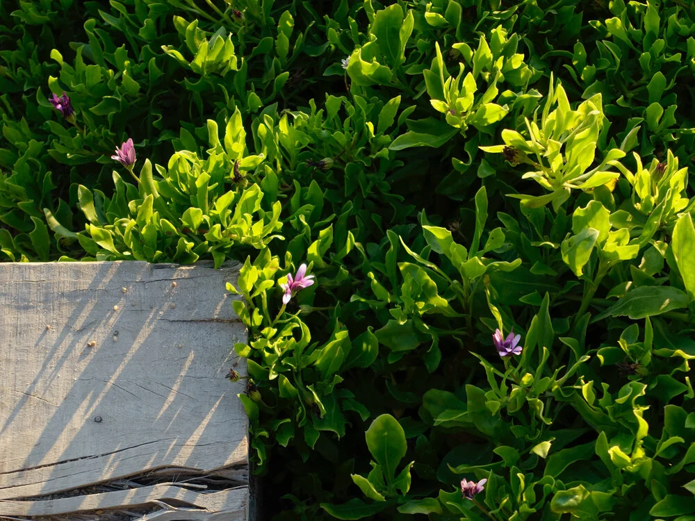 Minimalist Photography Tutorial PDF | Download Now