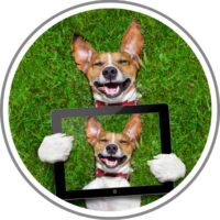 Profile Picture Ideas For Different Social Platforms